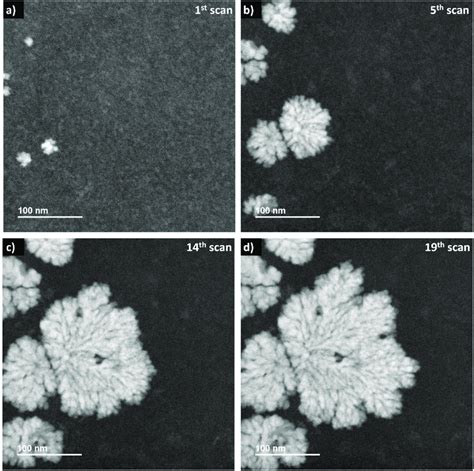 Sequential In Situ Adf Imaging In Lp Stem An Average Dose Rate Of 59