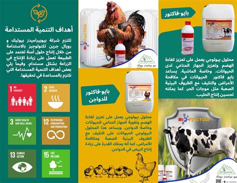 نوفا بلس توكيل رشيد