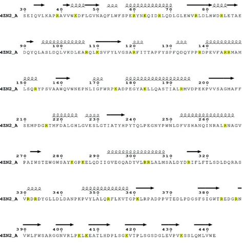 Sequence Analysis On The Trypsin Cleavage Residues Highlighted With