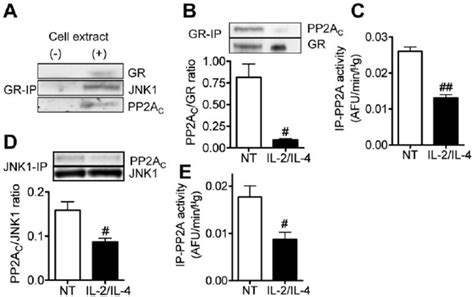 Association Between Pp2a And Grjnk1 In U937 Cells A Pp2a C And Jnk1