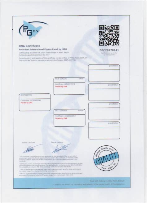 Be 17 6007732 F Ko Van Dommelen Cu Adn Piatadeporumbeiro Romanian