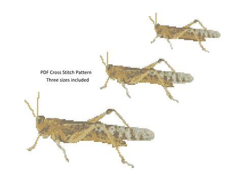 Grasshopper Cross Stitch Pattern Grasshopper Design Cross Stitch