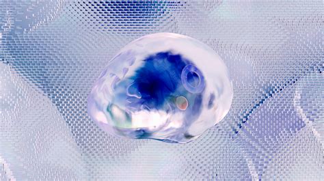 Brain Jelly An Organic Brain Like Computer Mdpi Blog