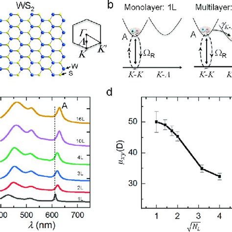 Absorption Spectra And Energy Diagram Of Ws 2 A Crystal Structure Download Scientific