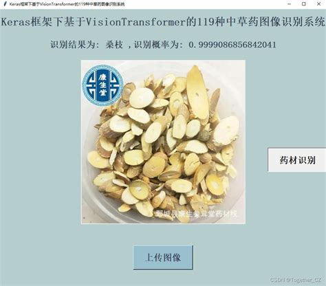 看图识药，python开发实现基于visiontransformer的119种中草药图像识别系统 csdn博客