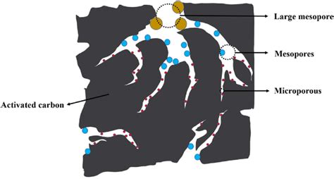 pore diagram of activated carbon download scientific diagram