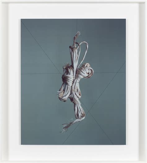 Spotlight Richard Learoyd Captures The Essence Of Photography With A