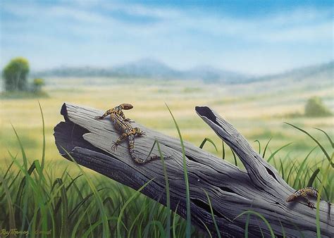 Ray Thomas Art Prints