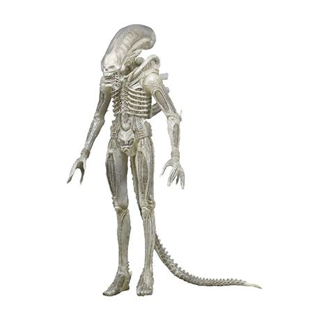 Alien 7 Alien 40th Anniversary Neca Shopee Brasil