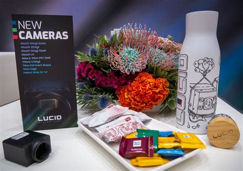 Vision LUCID Vision Labs