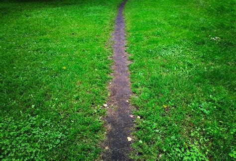Page 17 Grass Path Images Free Download On Freepik