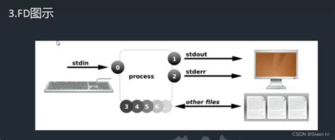 四丶linux管道与重定向 linux文件重定向管道重定向 错误重定向吗 csdn博客