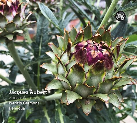 Jacques Aubert Blog De Christophe Ancey