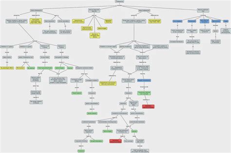Medical Concept Maps Hematology