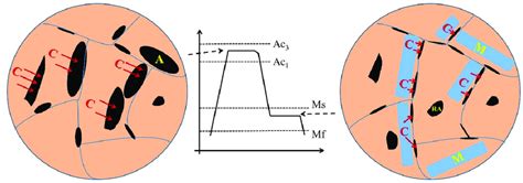 Schematic Diagrams Of Microstructure Evolution With Residual Austenite Download Scientific