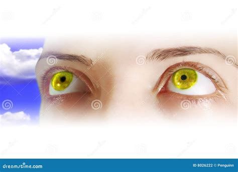 Gele Ogen Stock Foto Image Of Mystiek Wimpers Gezicht 8026222