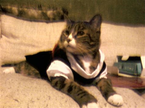 My Kitty In A Tux By Breakxerxesedanialxp On Deviantart