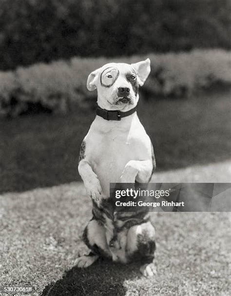 325 The Little Rascals Photos And High Res Pictures Getty Images