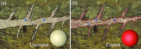 Schematic Diagram Of A Uncoated Proppants And B Coated Proppants In Download Scientific
