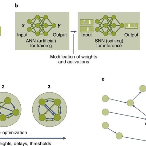 Common Training Approaches For Snns A The Structure Of A Network