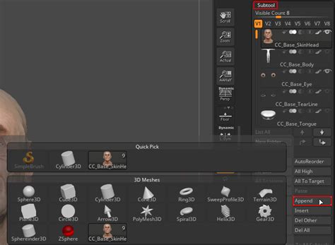 Expressions Projection Workflow