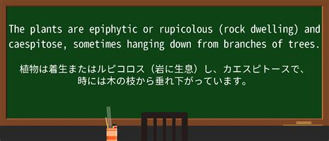 【英単語】caespitoseを徹底解説！意味、使い方、例文、読み方 おもしろい英文法