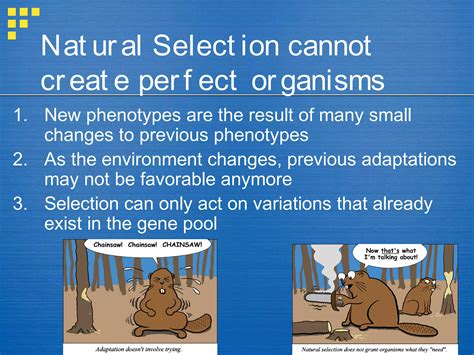 Natural Selection Genetic Drift Gene Flow Ppt