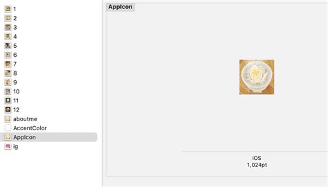 Ep5 Wens Ios 運用 Xcode 將app 設置 Icon 彼得潘的 Swift Ios App 開發教室