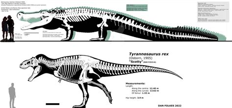 Sarcosuchus Size Comparison Rheic 1 35 Sarcosuchus Model Lana Time