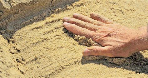 Ang 100 Pinakamahalagang Interpretasyon Ng Nakakakita Ng Dumi Sa Isang