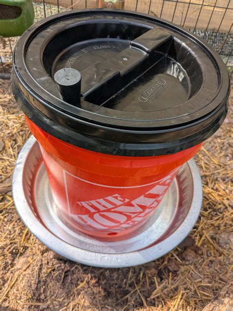 The Simplest Gravity Fed 5 Gallon Bucket Waterer Backyard Chickens