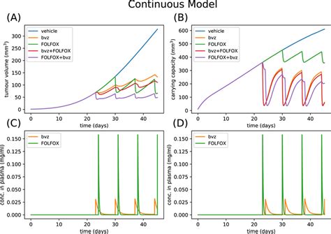 Example Numerical Simulation Of Computational Vascular Tumour Growth Download Scientific