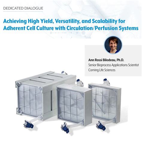 Corning Cell Culture Area At Walter Belin Blog