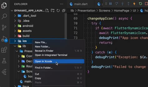 Flutter 动态更改应用程序启动图标 猫哥 Wiki Ducafecat Tech