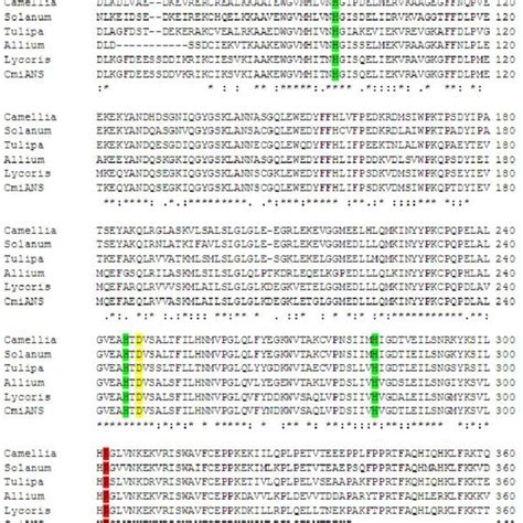 Alignment And Active Site Regions In Chs Proteins From Different Plants
