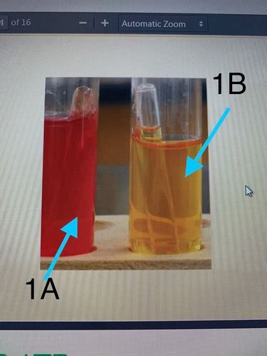 Lab Practical 3 Microbiology Flashcards Quizlet