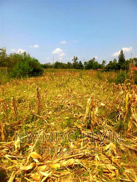 Alego Mur Malanga South East Alego Siaya Jumuika