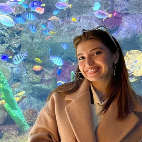 Burcu Sulku Namık Kemal Üniversitesi Tekirdağ Research Profile