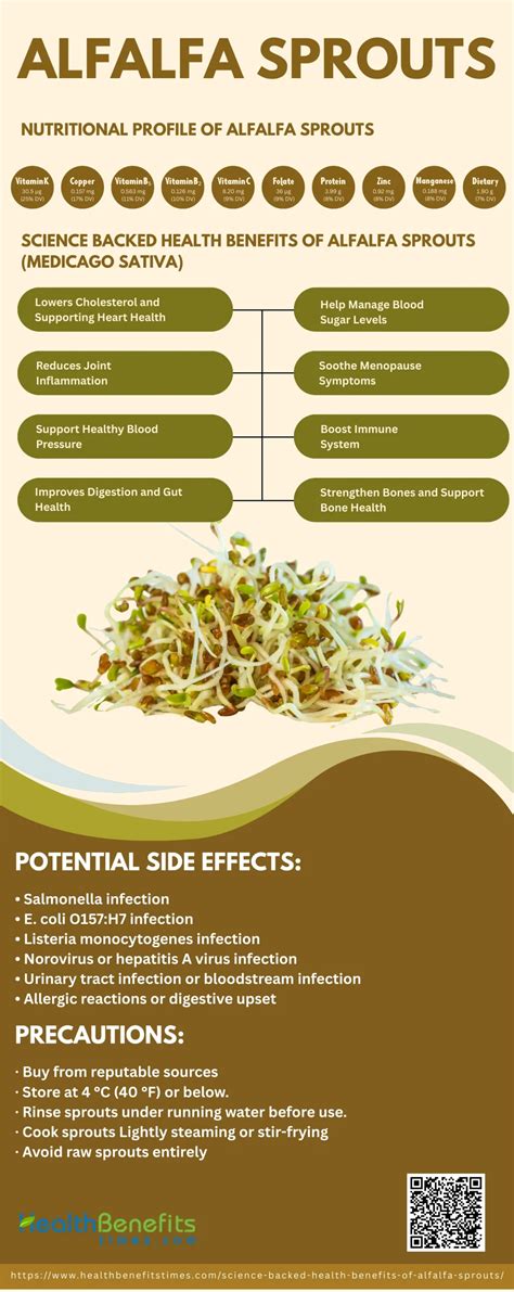 Science Backed Health Benefits Of Alfalfa Sprouts Medicago Sativa