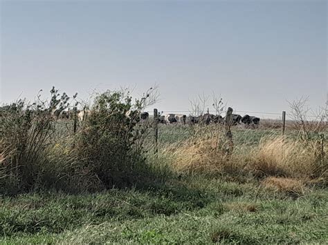 Eleonora Cole On Twitter 👇🏽 Buen Día