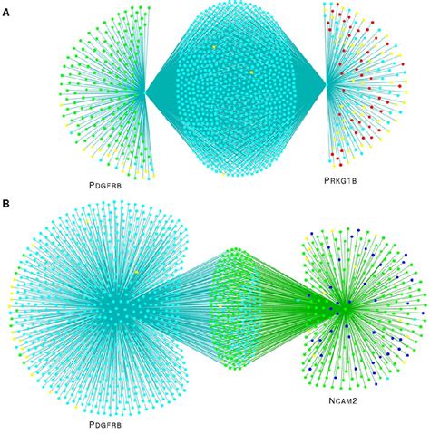 Differences In Neighborhood Structure Of The Sequence Similarity Download Scientific Diagram