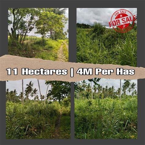 Lot For Sale Wangan Davao City 11 Hectares Highway Access Roads 15 20 Minutes To Pausta 15 20