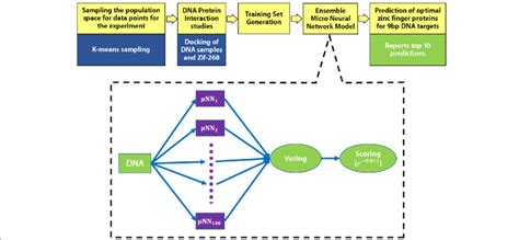 The Pipeline For Our Algorithm To Predict Optimal Zfps For Any 9 Bp