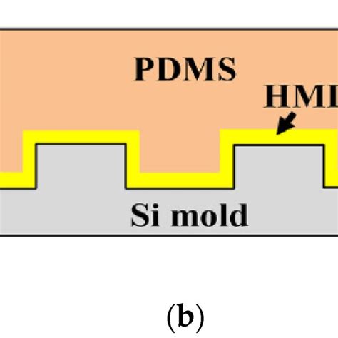Cross Sectional Schematic Diagram Not To Scale Of A Pr Sio2 Si Download Scientific Diagram