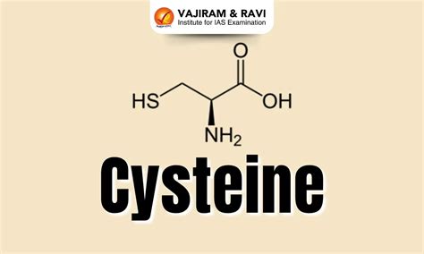 Cysteine Structure
