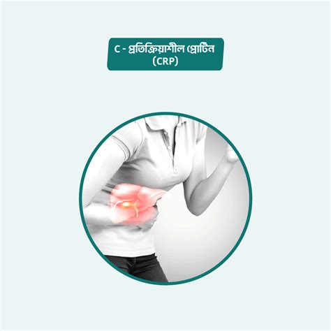 C Peptide Test Online In Dhaka Arogga Online Lab