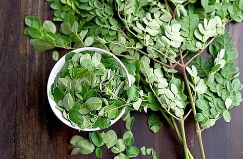 One Million Malunggay Project Launched In Caraga Pinoy Aksyon News