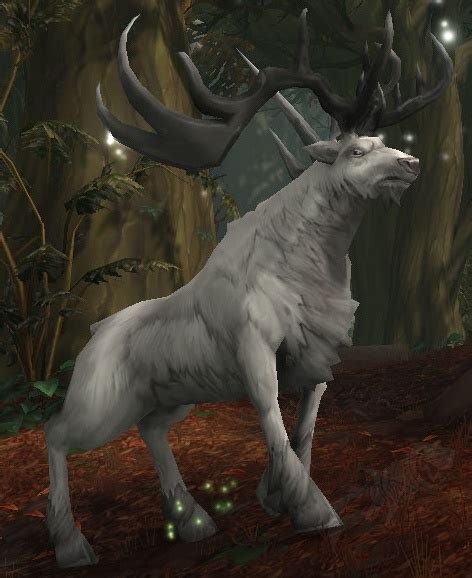 Athair Npc World Of Warcraft