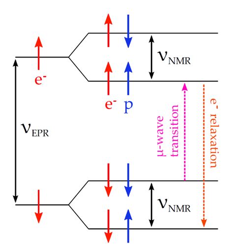 Dynamic Nuclear Polarization Download Scientific Diagram