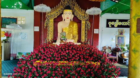 လင်းရောင်ခြယ် မေတ္တာလူငယ် ပရဟိတ 782021 လင်းရောင်ခြယ် မေတ္တာလူငယ